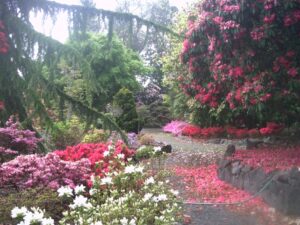 Things To Do In Brinnon – Hood Canal Adventures