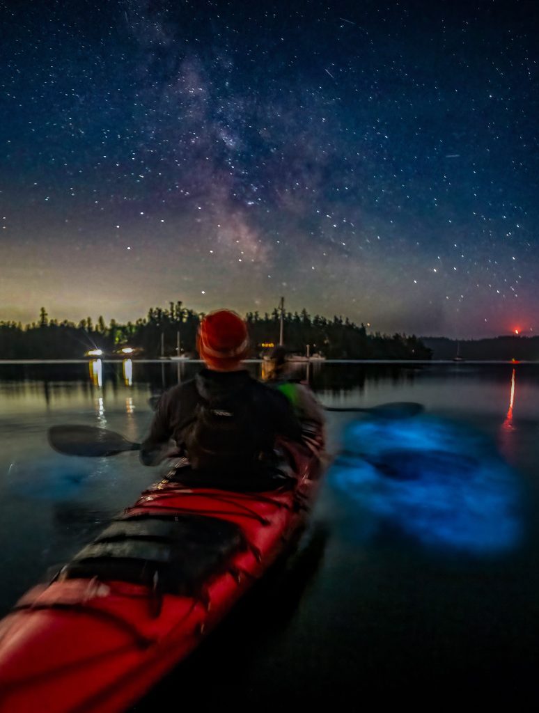 Bioluminescence / Night Kayak Tour – Hood Canal Adventures